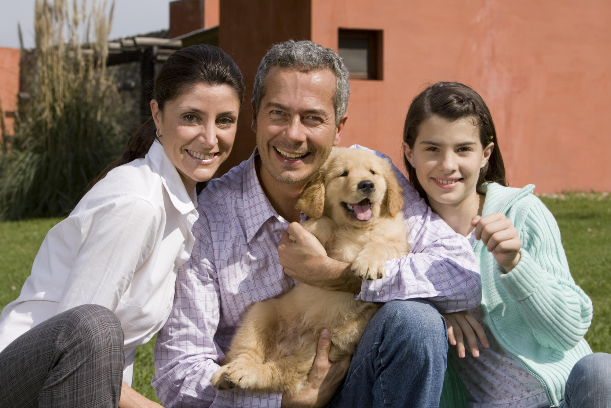 Uncover the Unique Characteristics of Popular Puppy Breeds